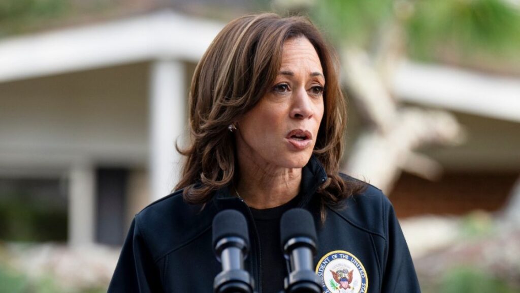 True Cost of Kamala Harris' Housing Plan Revealed in Recent Study ...