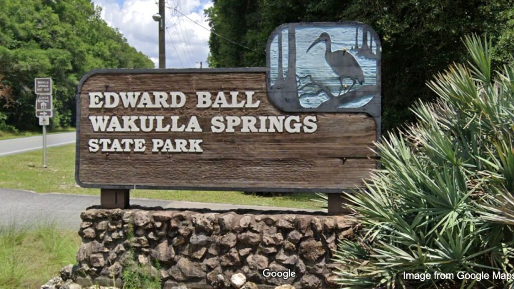 FSU Researchers Work to Protect Local Springs - Florida Daily