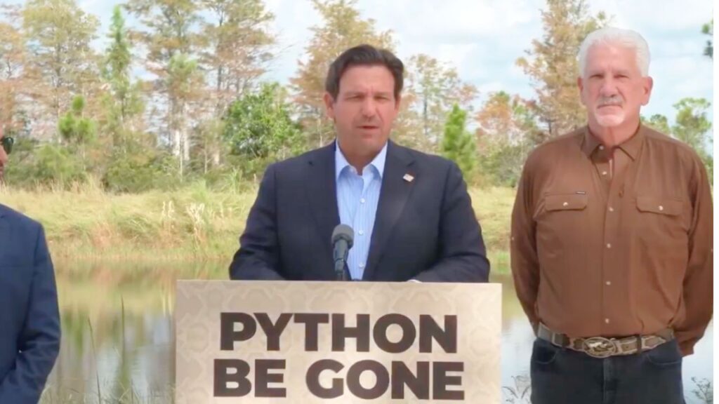 DeSantis: Florida’s Python Removal Team Achieves Historic Success ...