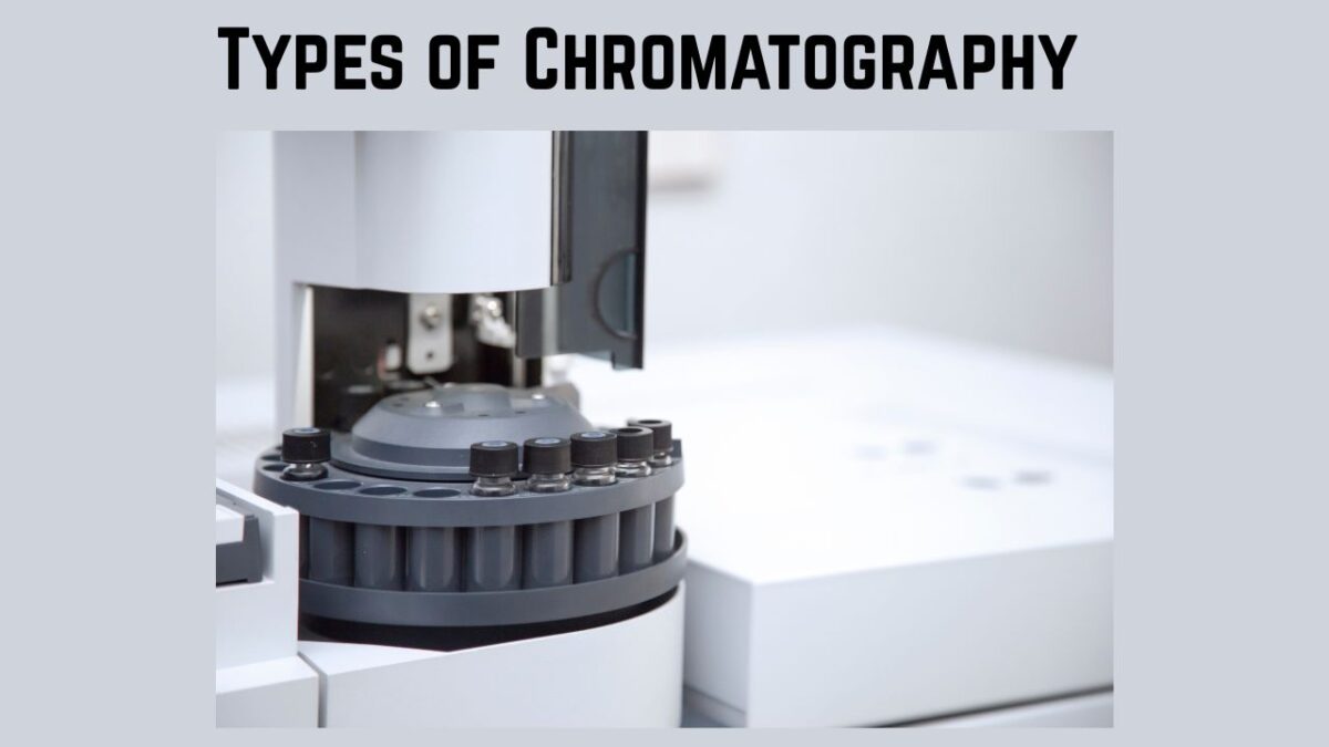 Understanding the Different Types of Chromatography - Florida Daily