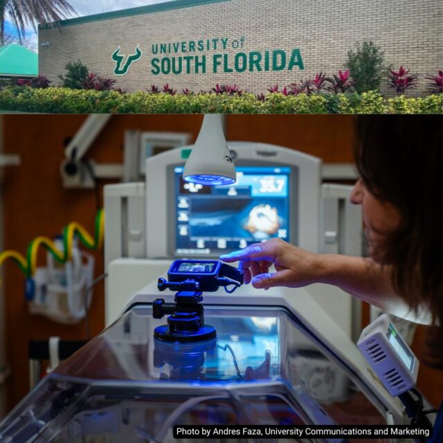 University of South Florida Climbs National Research Rankings ...