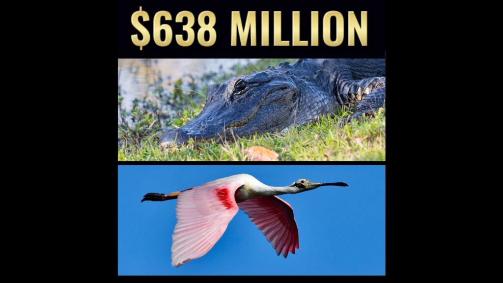 Everglades Restoration Gets $638 Million From Florida State Legislature ...